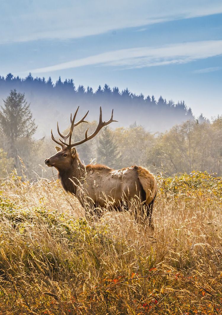 Explore the US & Canada | AAA Western and Central New York